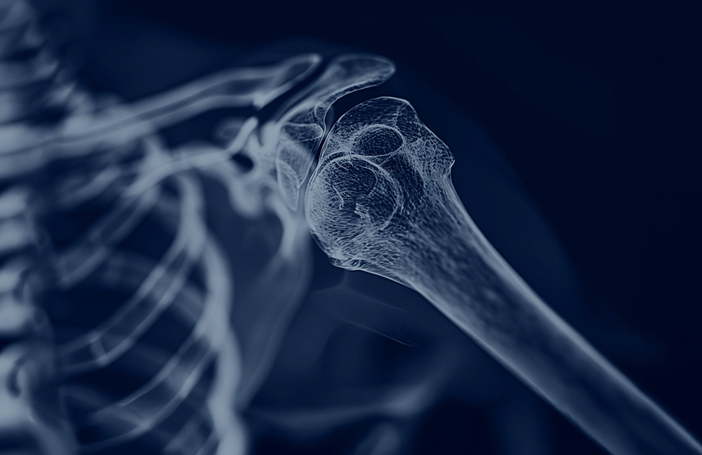 AGFA HealthCare Enterprise Imaging Platform